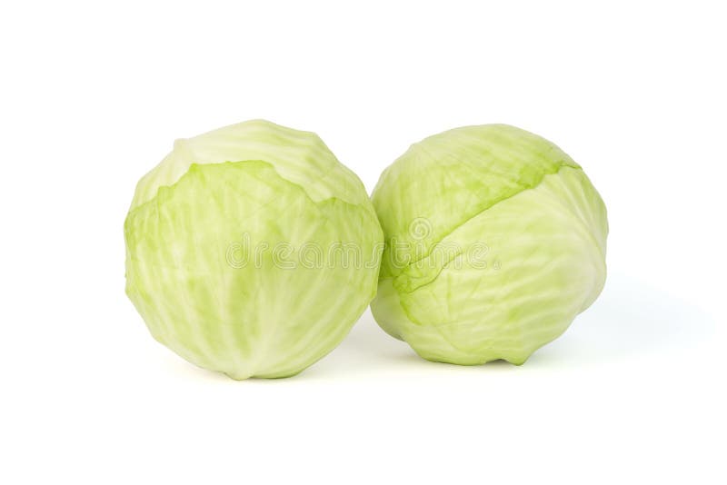 Two Heads of White Cabbage Isolated on White Stock Image - Image of ...