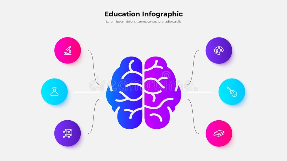 Two Hemispheres of the Brain that are Responsible for Science and ...