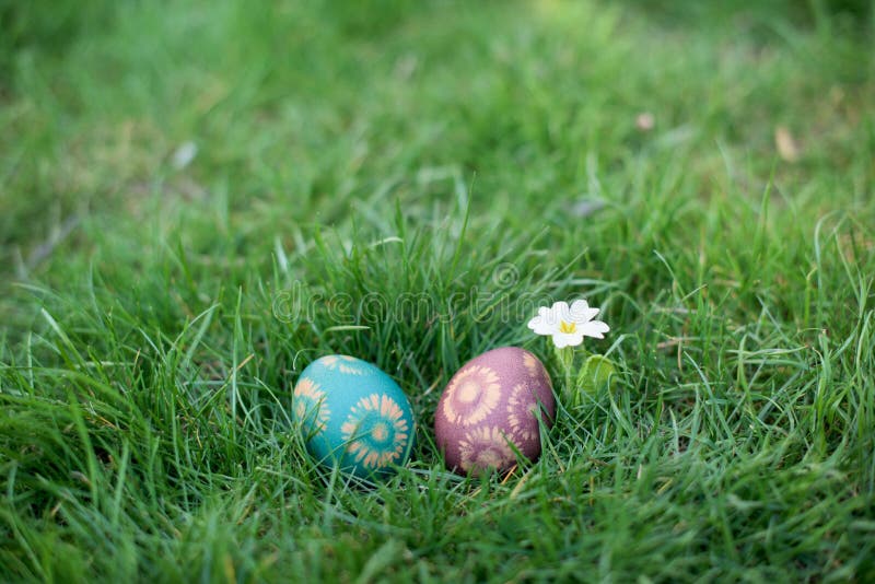 Two Hidden in the Grass Easter Eggs, Which are Painted in Different ...
