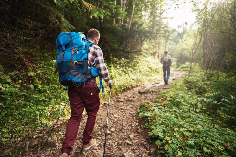 Two Hikers Walking Along a Trail Deep in the Forest Stock Photo - Image ... Two Hikers Walking Along a Trail Deep in the Forest Stock Photo - Image ...