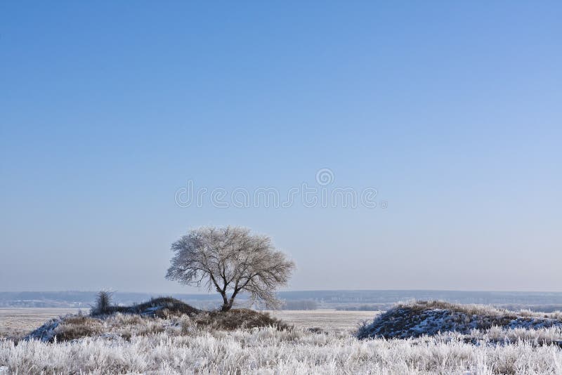 Two hills stock image. Image of trees, frost, forest - 29937835
