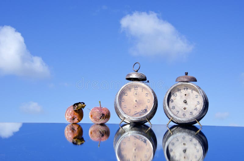 Apple Rotten Mirror Stock Photos - Free & Royalty-Free Stock Photos ...