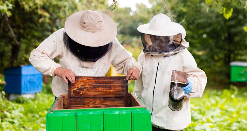 Two Hivers in Protecting Suits Opening Hive Stock Photo - Image of ...