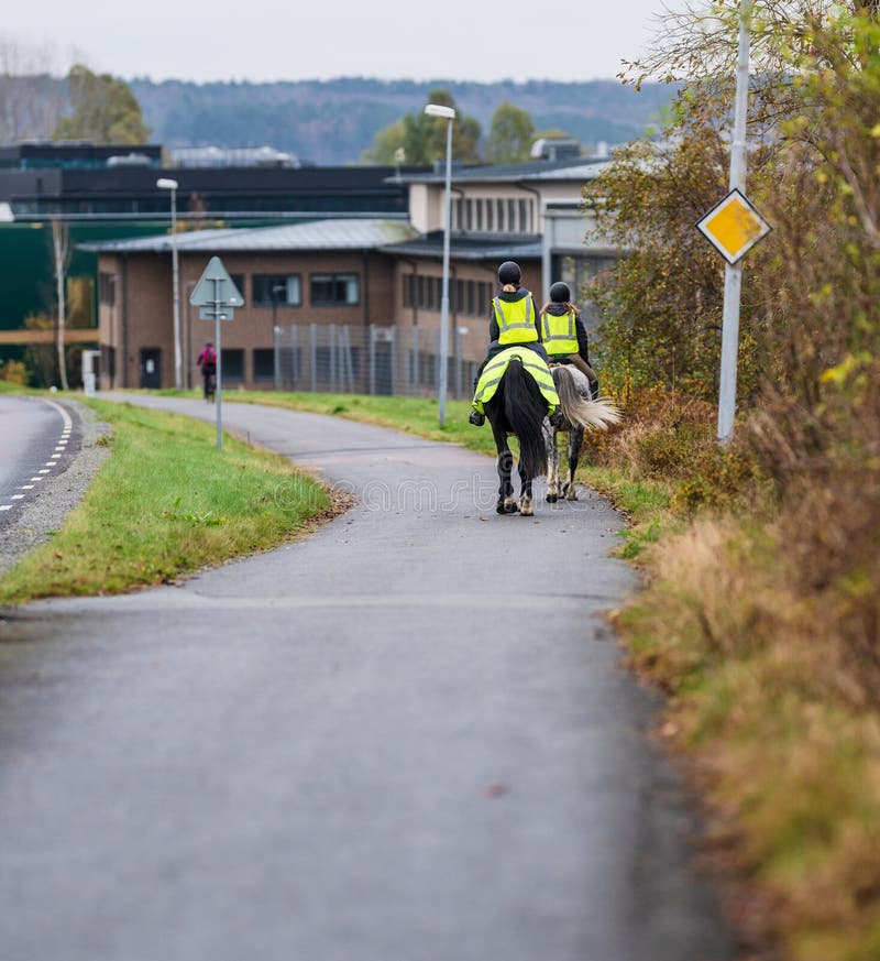 Two Horses and Riders on a Bike and Walking Path by a Road.. Stock ...