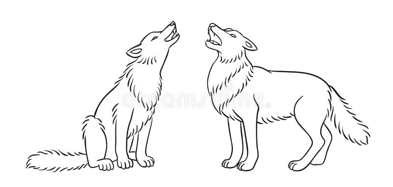 Two Howling Grey Wolves in Outlines - Vector Illustration Stock Vector ...
