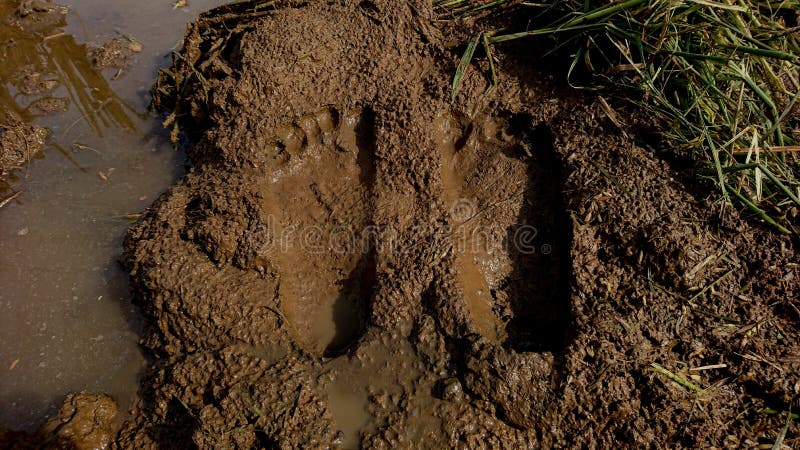 Muddy Bare Footprint