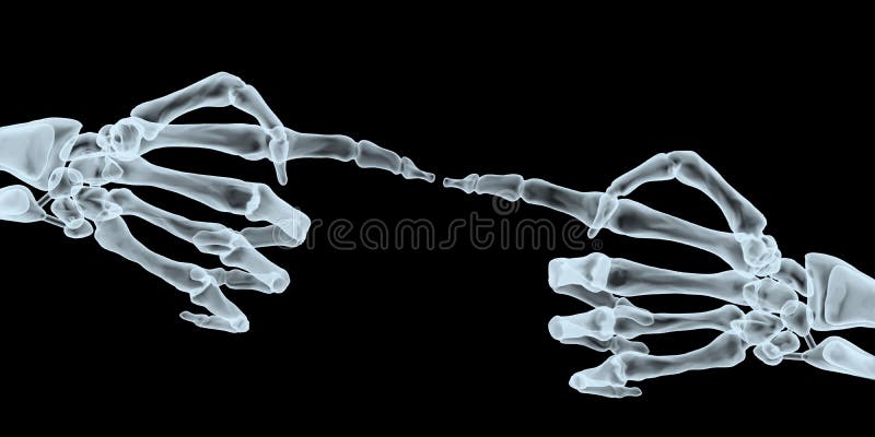 Two Human Hands Pointing Each Other with Index Finger Xray Stock ...
