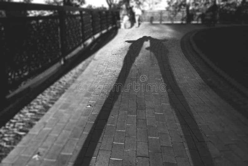 Two Human Shadows on the Road Stock Image - Image of human, path: 242651627