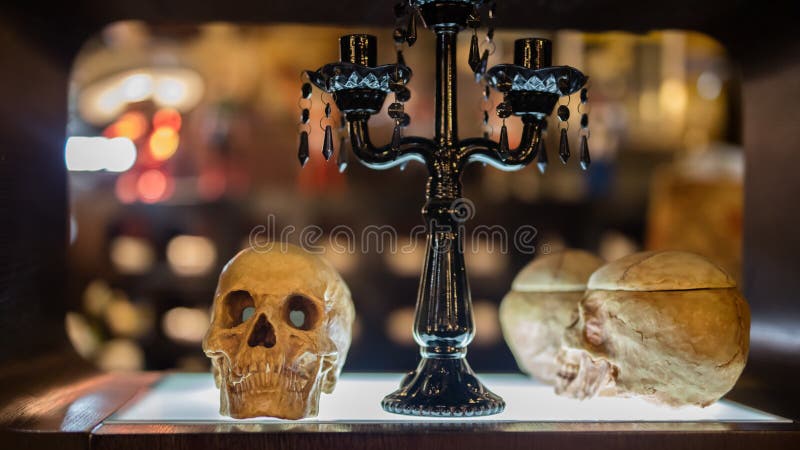 Human Skulls and a Glass Table Stock Photo - Image of horror, dark ...