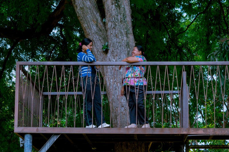 Two Individuals Conversing on Elevated Tree Platform Enjoying the View ...