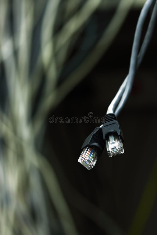 Two internet cables stock image. Image of hard, connection - 10720643