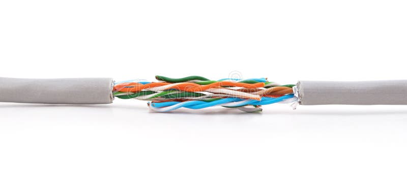 Two internet cables stock image. Image of isolated, macro - 241872153