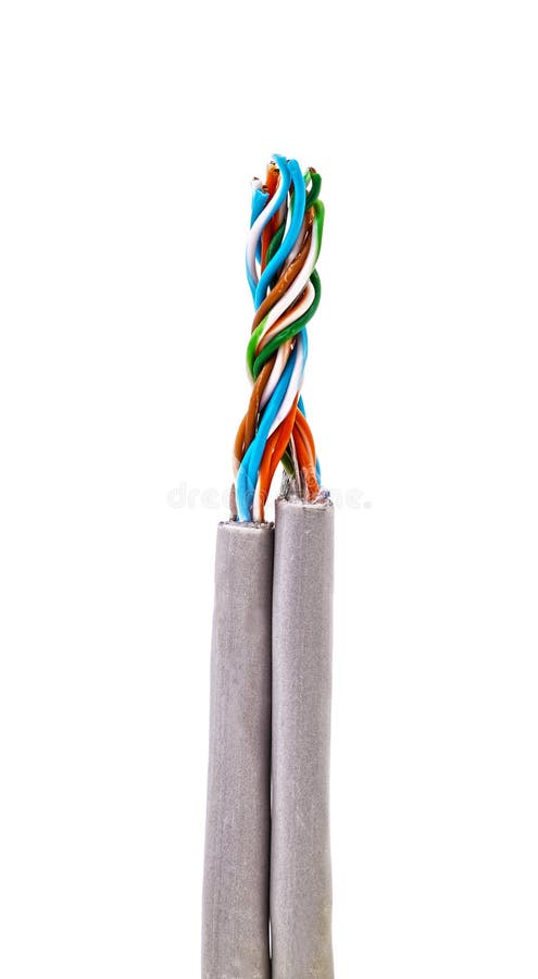 Two Internet Cables are Inserted into the Ports Stock Image - Image of ...