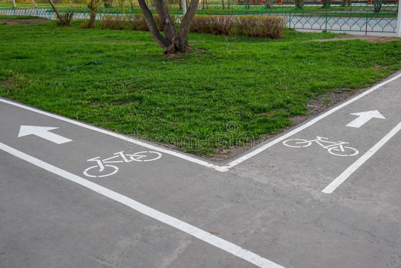 Two Intersecting Red Bicycle Paths Surrounded by Trees in the Park ...