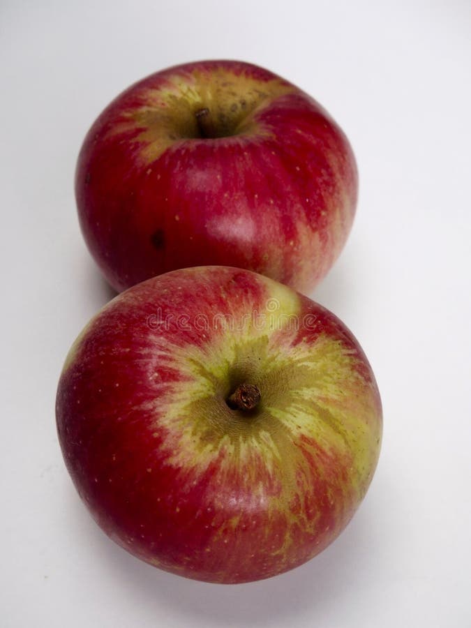 Akane Apples stock image. Image of apples, sweet, produce - 33852051