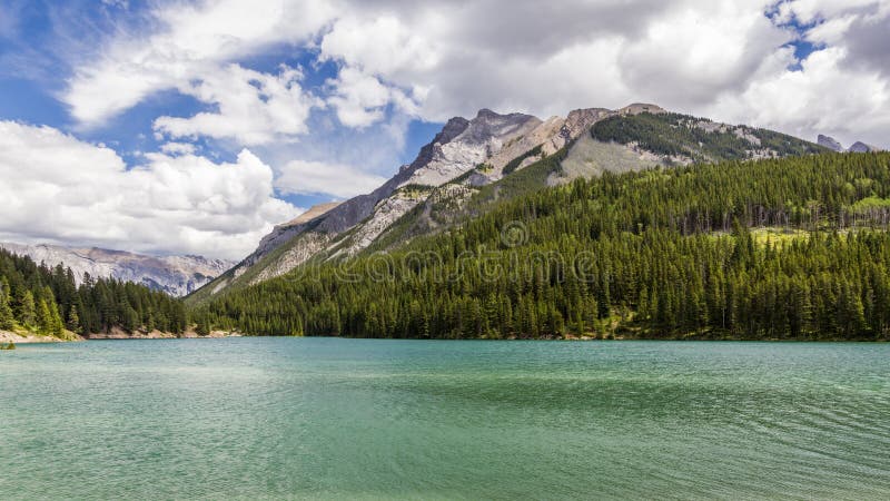 Two Jack in Banff National Park, Alberta, Canada Stock Photo - Image of ...