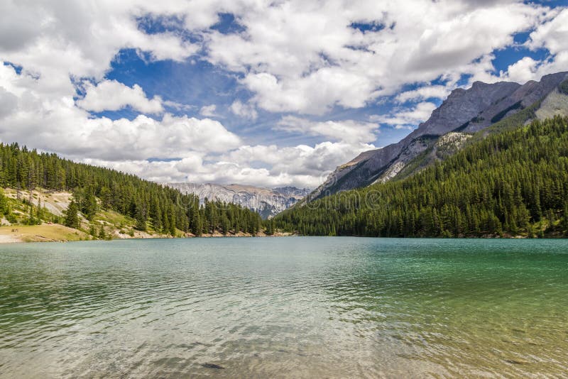 Two Jack in Banff National Park, Alberta, Canada Stock Image - Image of ...