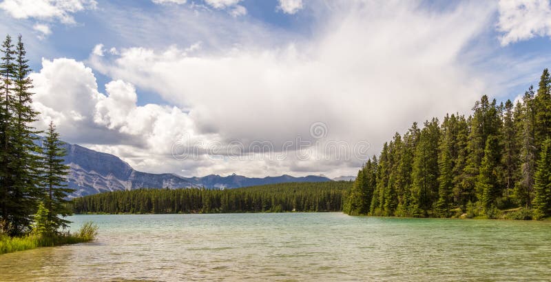 Two Jack in Banff National Park, Alberta, Canada Stock Photo - Image of ...