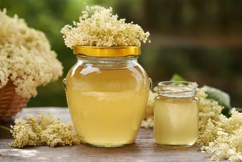 Two Jars of Homemade Elderberry Flower Syrup Made in Spring Stock Photo ...