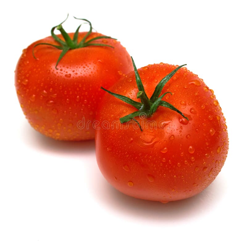 Juicy and fresh tomatoes stock image. Image of bunch - 11319885