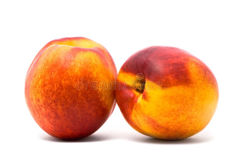 Two juicy nectarines stock image. Image of isolated, nectarine - 11040633