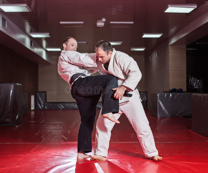 Two Karate Fighters Showing Technical Skill while Practicing Stock ...