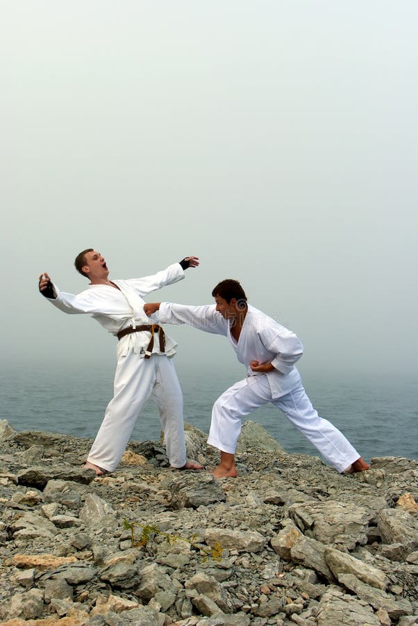 Two karateka fight stock photo. Image of punch, competition - 20371464