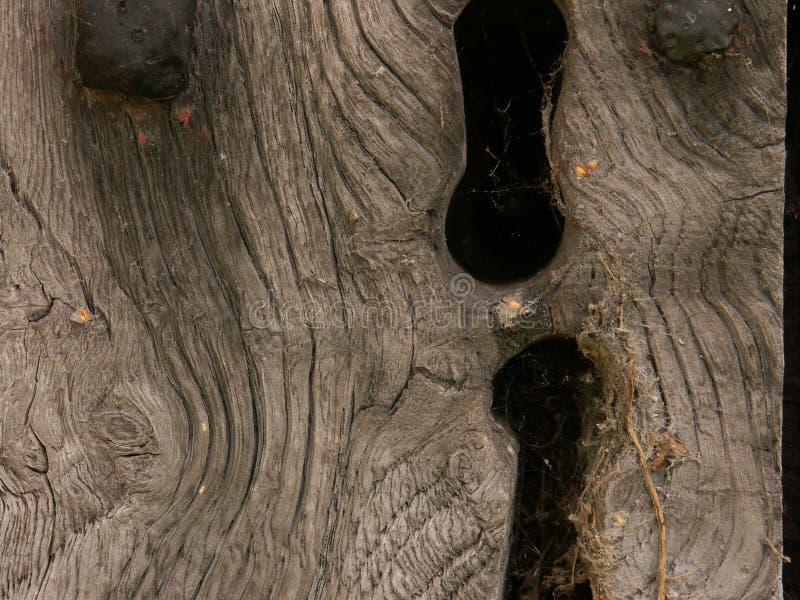 Two keyholes stock photo. Image of wood, ancient, grain - 34256034