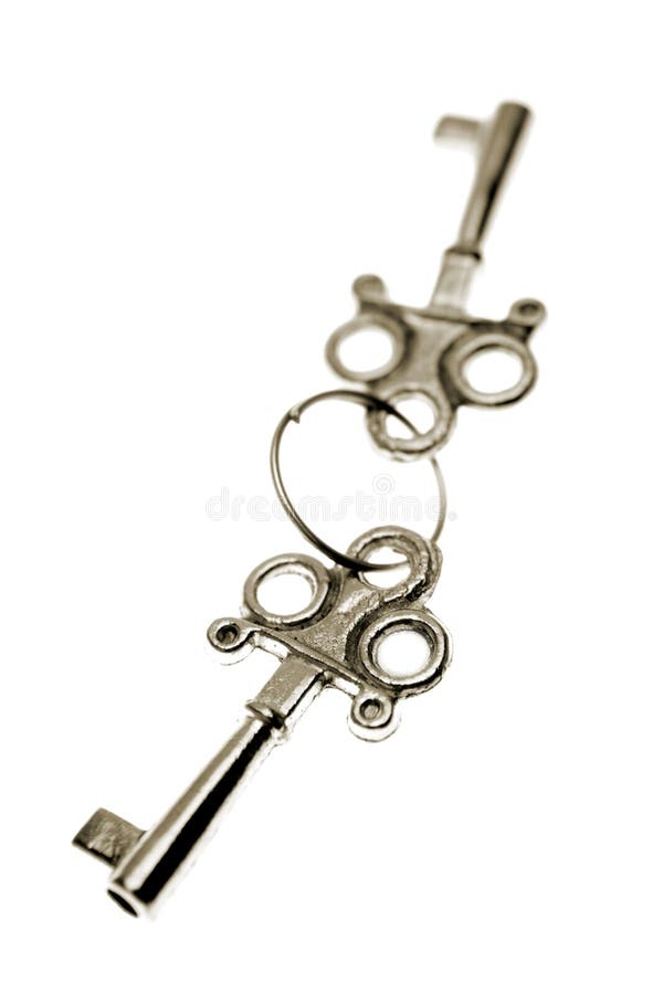 Two keys stock photo. Image of home, distrust, ring, room - 3328478