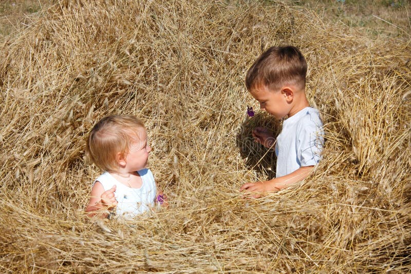 Two Kids In Hay Picture. Image: 14631446