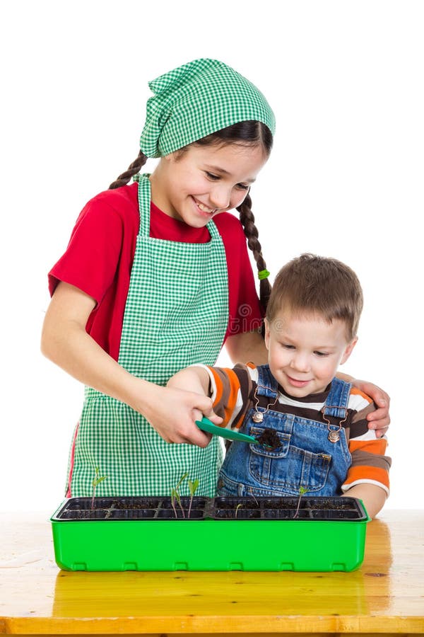 Two Kids Learning Planting Seedling Stock Photos - Free & Royalty-Free ...