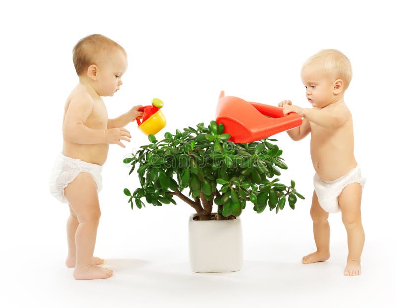 Two Kids Watering a Plant Together. Stock Photo - Image of child ...