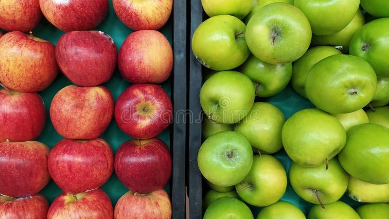 Two Kinds of Appels stock image. Image of branch, kinds - 205939257