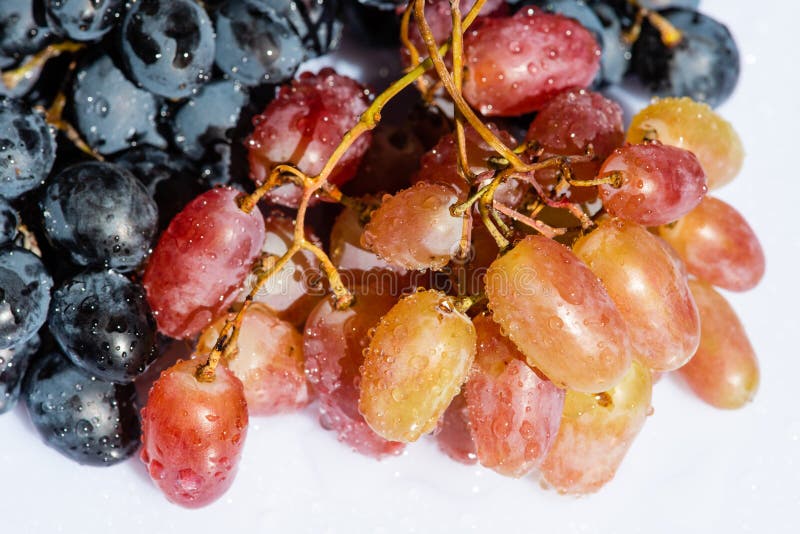 Dark Blue and Yellow Red Grapes at White Stock Image - Image of grapes ...