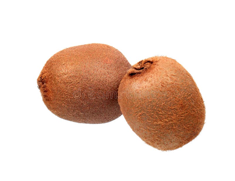 Two kiwi fruits stock photo. Image of isolated, background - 72769392