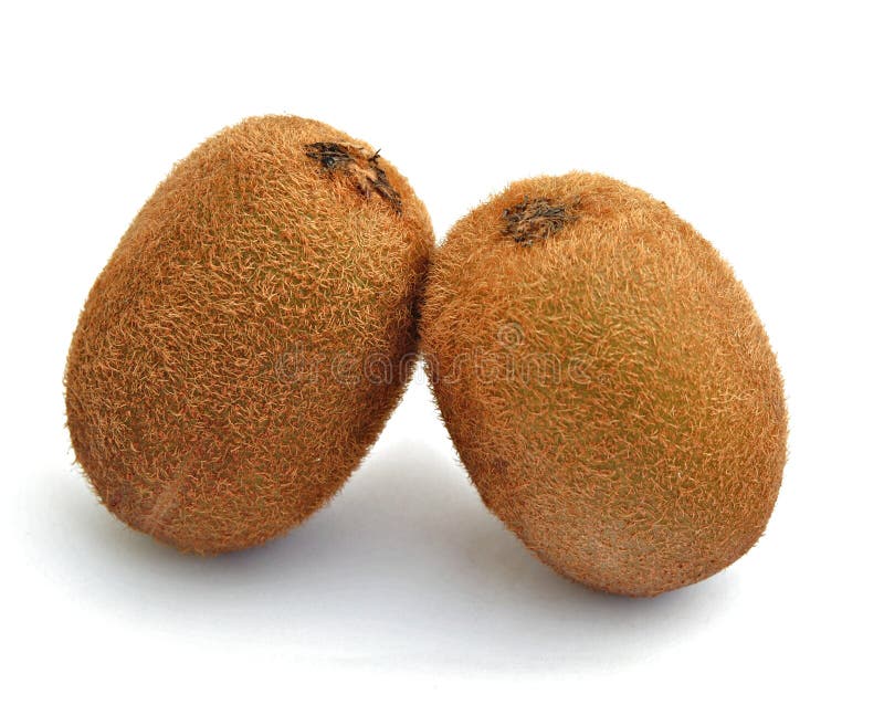Two kiwis stock photo. Image of drink, energy, isolated - 17355036