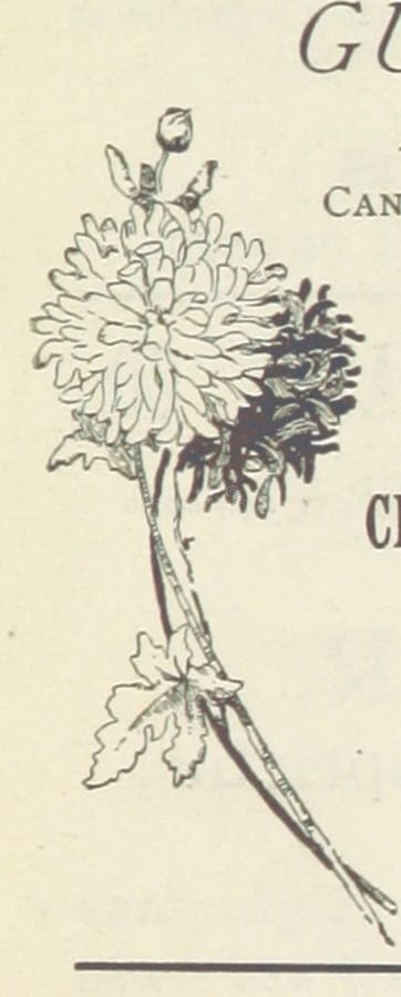 British Library Digitised Image From Page 17 Of "Two Knapsacks In The ...