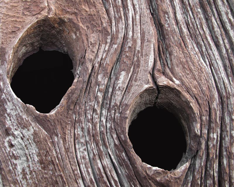 259 Wood Grain Knot Holes Stock Photos - Free & Royalty-Free Stock ...