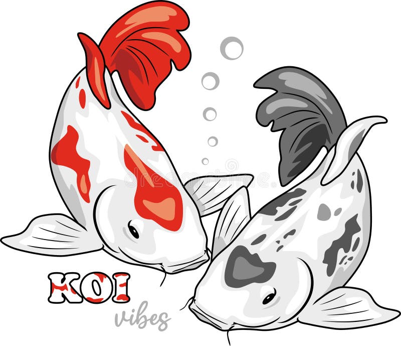 Two Koi Fishes Isolated on White. Koi Vibes Stock Vector - Illustration ...