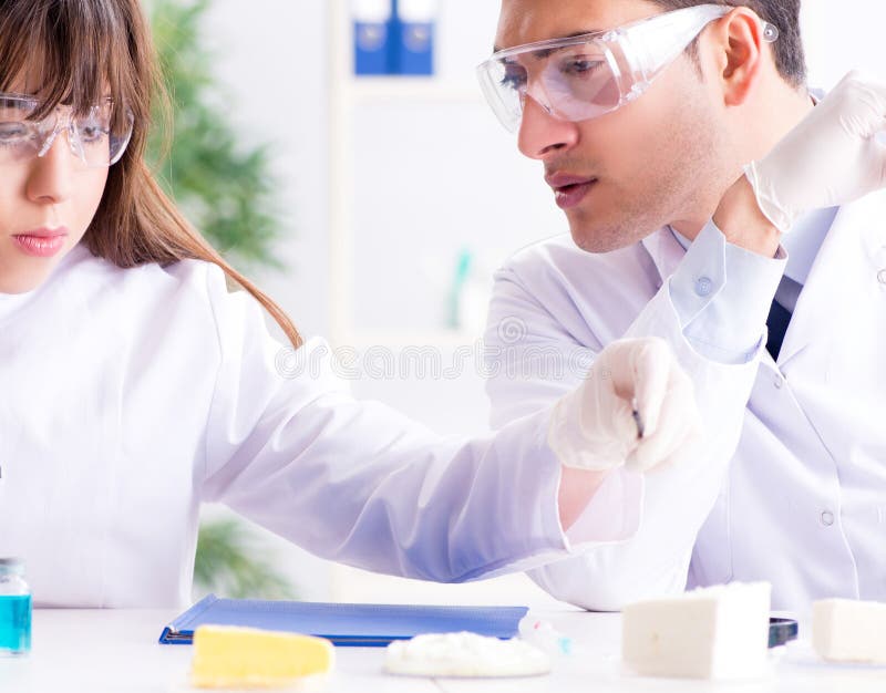 Two Lab Doctor Testing Food Products Stock Photo - Image of ...