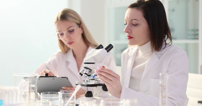 Two Laboratory Assistant Scientists Working in Laboratory are Dripping ...