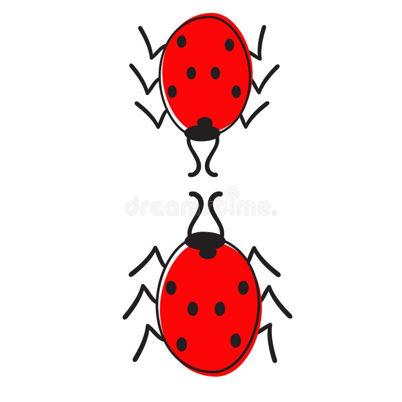 Two ladybugs isolated stock vector. Illustration of baby - 50769550