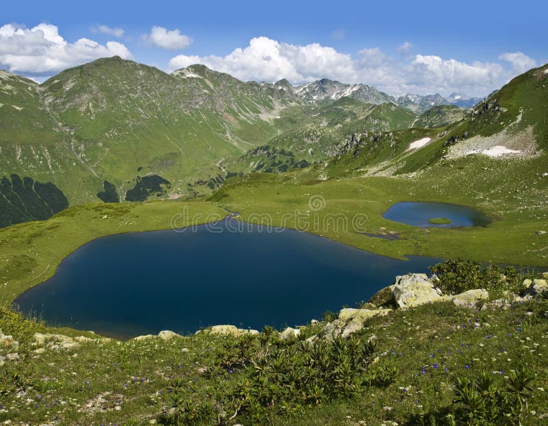 Two Lakes in the Mountains with Grass and Flowers Stock Image - Image ...