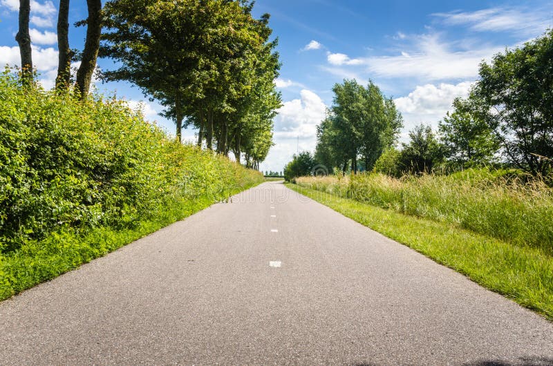 Two Lane Bicycle Path Lined with Trees on a Sunny Spring Day Stock ...