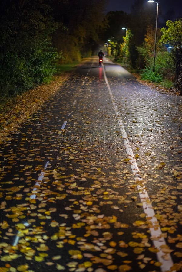 Two Lane Bike Path almost Covered in Leaves at Night.. Stock Photo ...