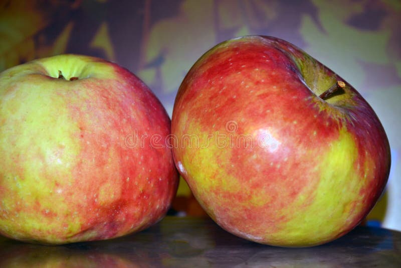 Two Large Apples with Red Barrels Stock Image - Image of leaf, large ...