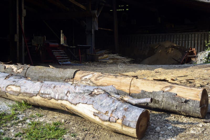 Stack Timber Against Sun Stock Photos - Free & Royalty-Free Stock ...