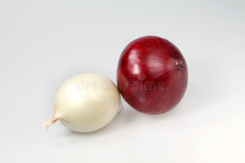 One Large Big Red Onion Looking at You Stock Image - Image of layers ...