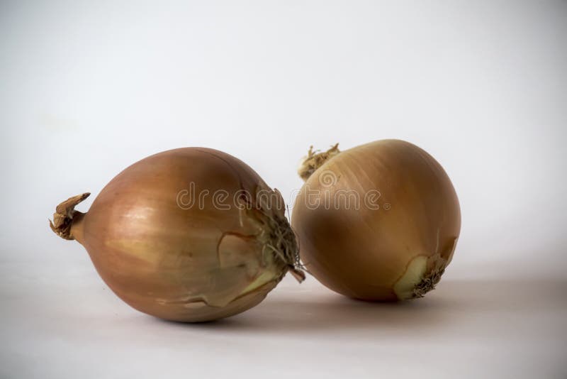 One Large Red Onions Looking To Get Cut Stock Photo - Image of looking ...