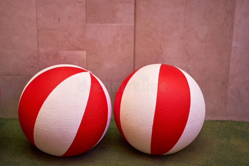 Large Spherical Boxwood Shrubs at a Specialized Dutch Nursery Stock ...